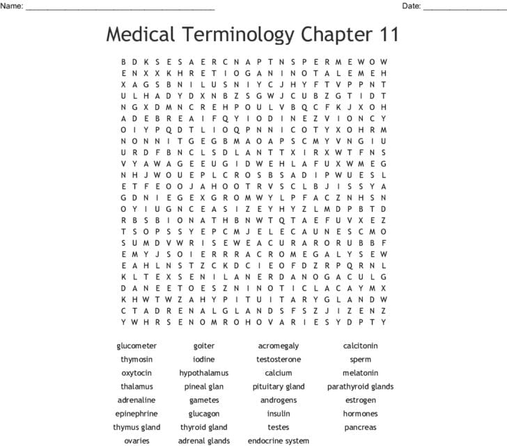 Endocrine System Worksheet Word Search Word — db-excel.com