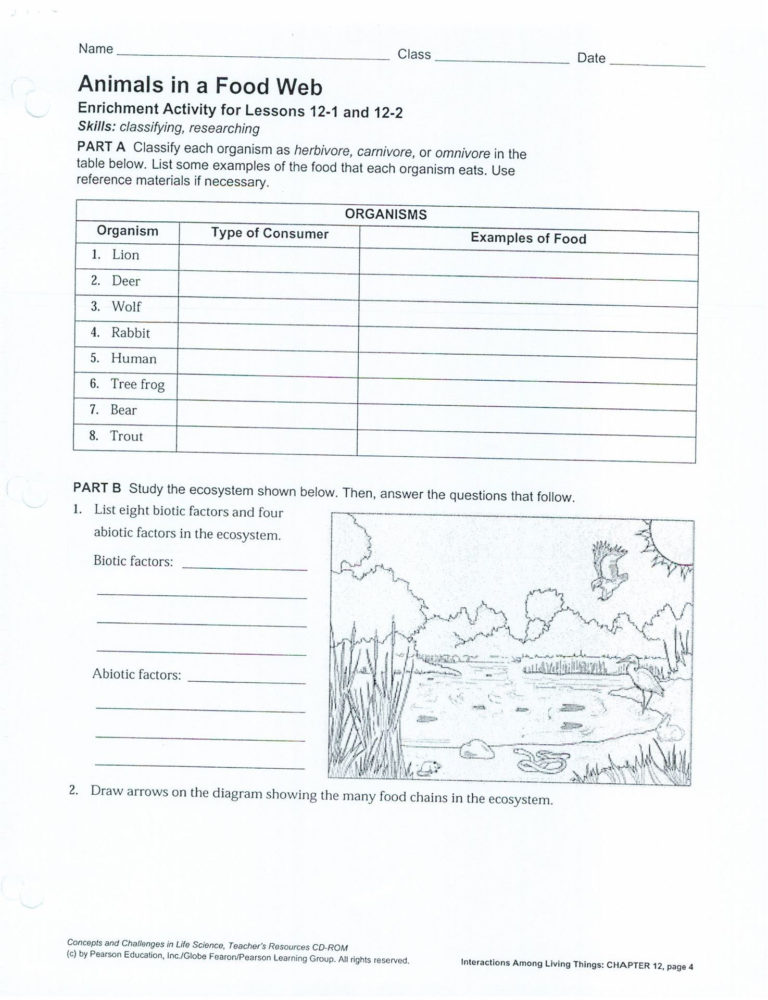 Energy Transfer Food Chains Fo Food Webs And Food Chains Worksheet — db ...