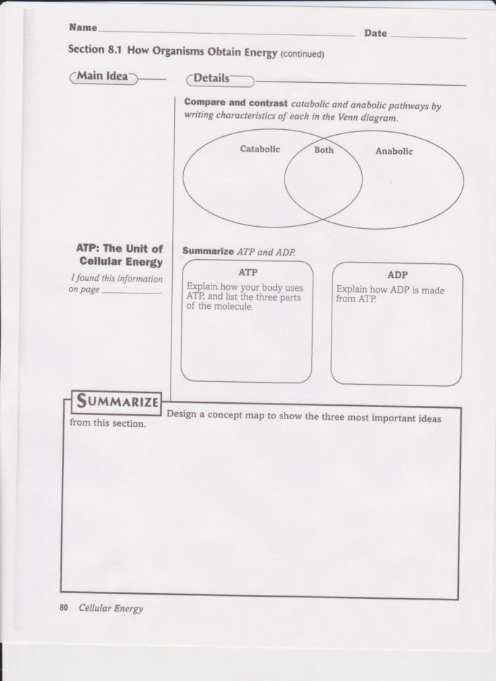 Energy Transfer In Living Organisms Worksheet Db excel Energy Transfer In Living Organisms Worksheet Db excel