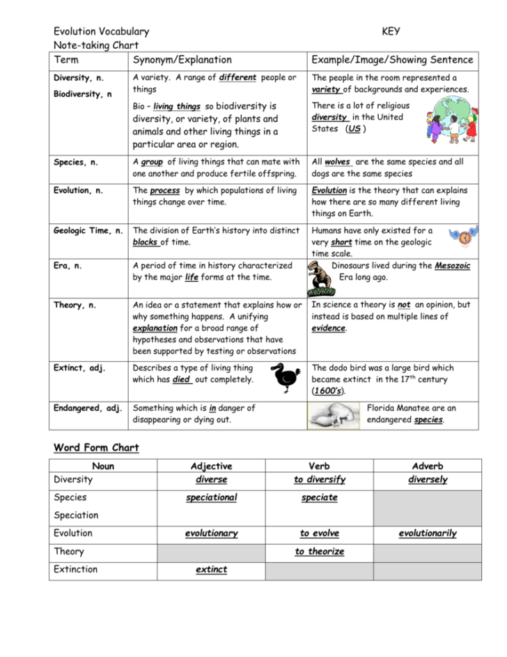 Evolution Vocabulary Worksheet — db-excel.com
