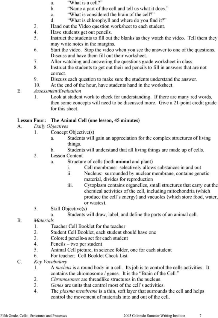 Cell Structure And Processes Worksheet Answers — db-excel.com