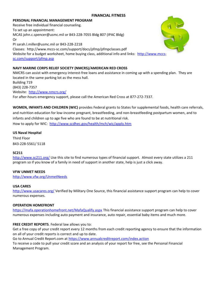 Navy Marine Corps Relief Society Financial Worksheet — db-excel.com