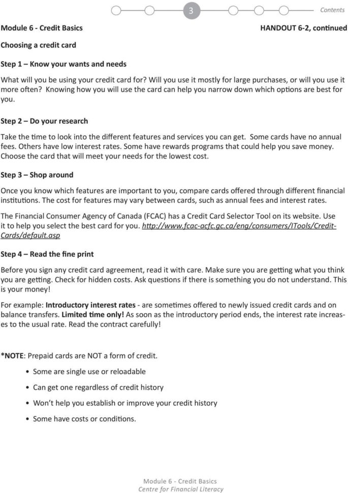 Financial Literacy Credit Basics Worksheet Db excel