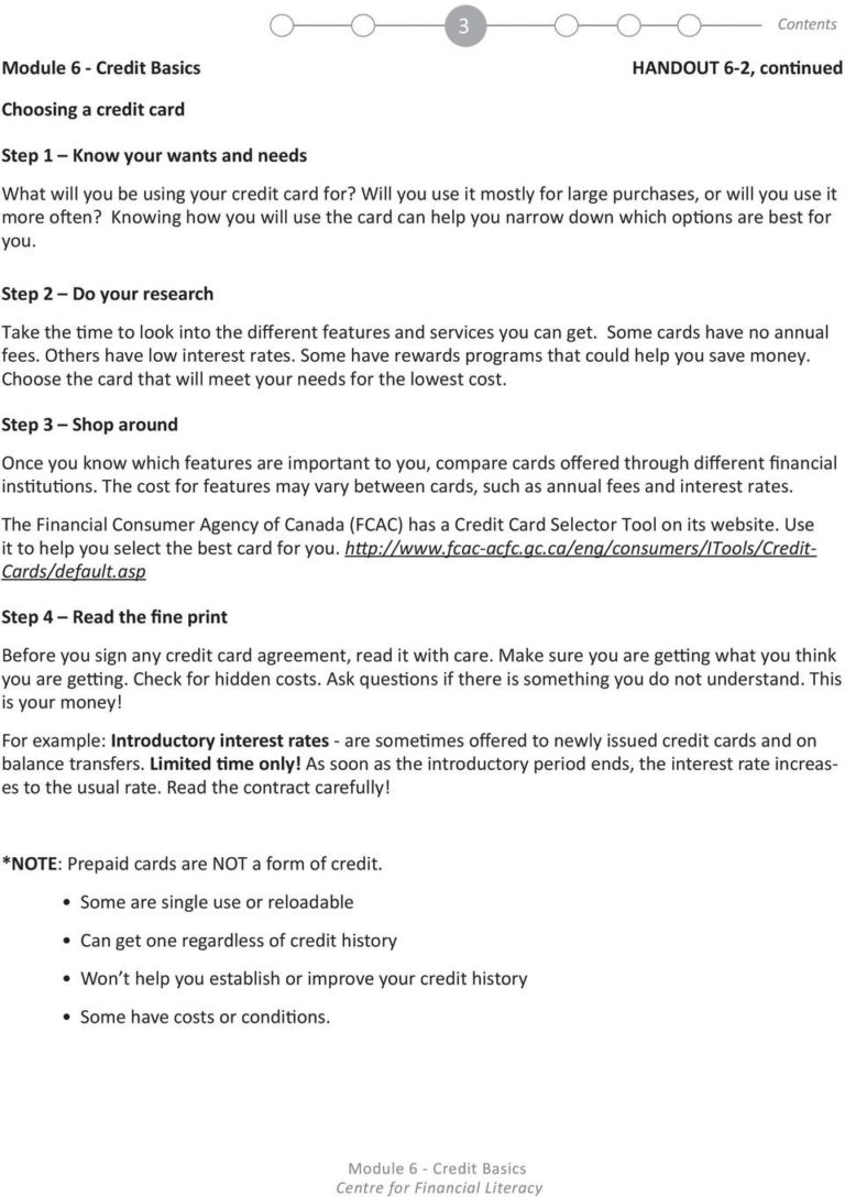 Financial Literacy Credit Basics Worksheet — db-excel.com