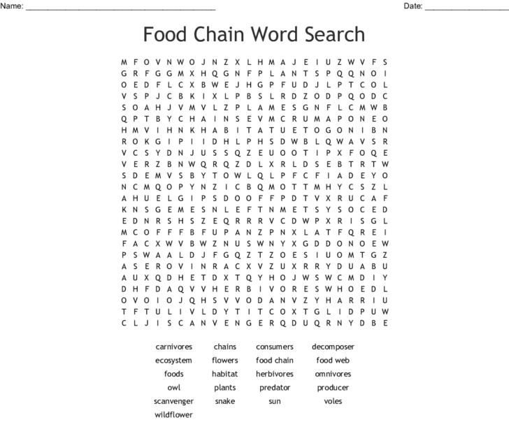 Food Chain Word Search Word — db-excel.com