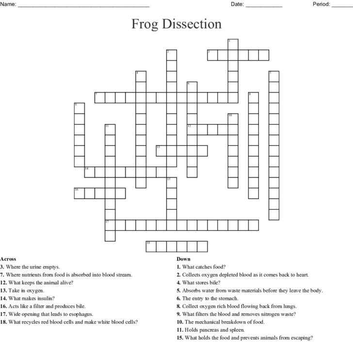 Frog Dissection Crossword Word — db-excel.com