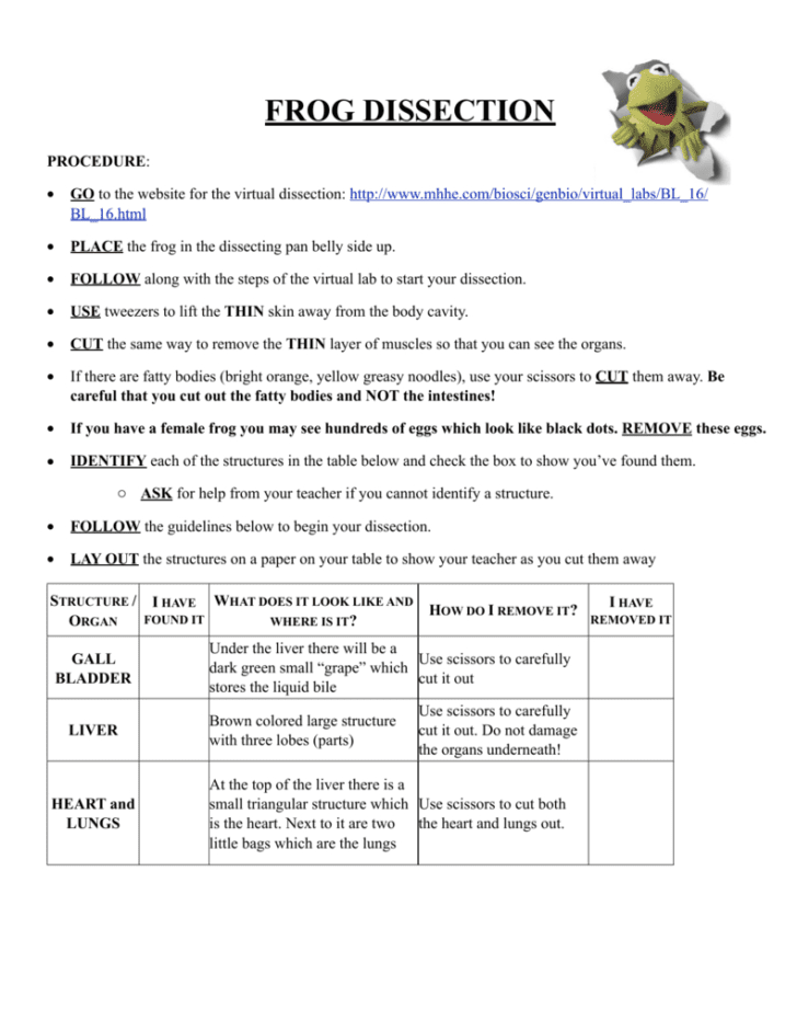 Frog Dissection Lab Sheet — db-excel.com