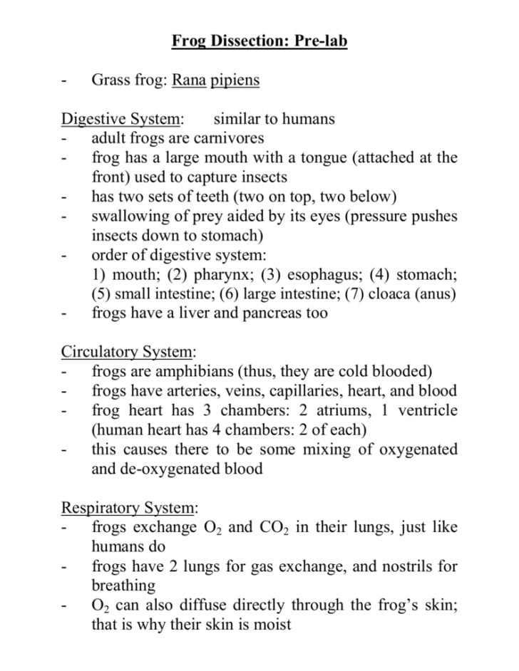 Frog Dissection Prelab Grass Frog Rana Pipiens Digestive — db-excel.com