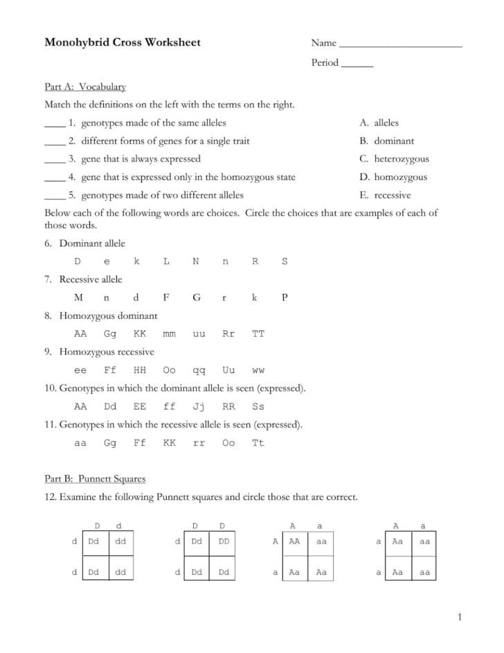 Gene And Chromosome Mutation Worksheet — db-excel.com