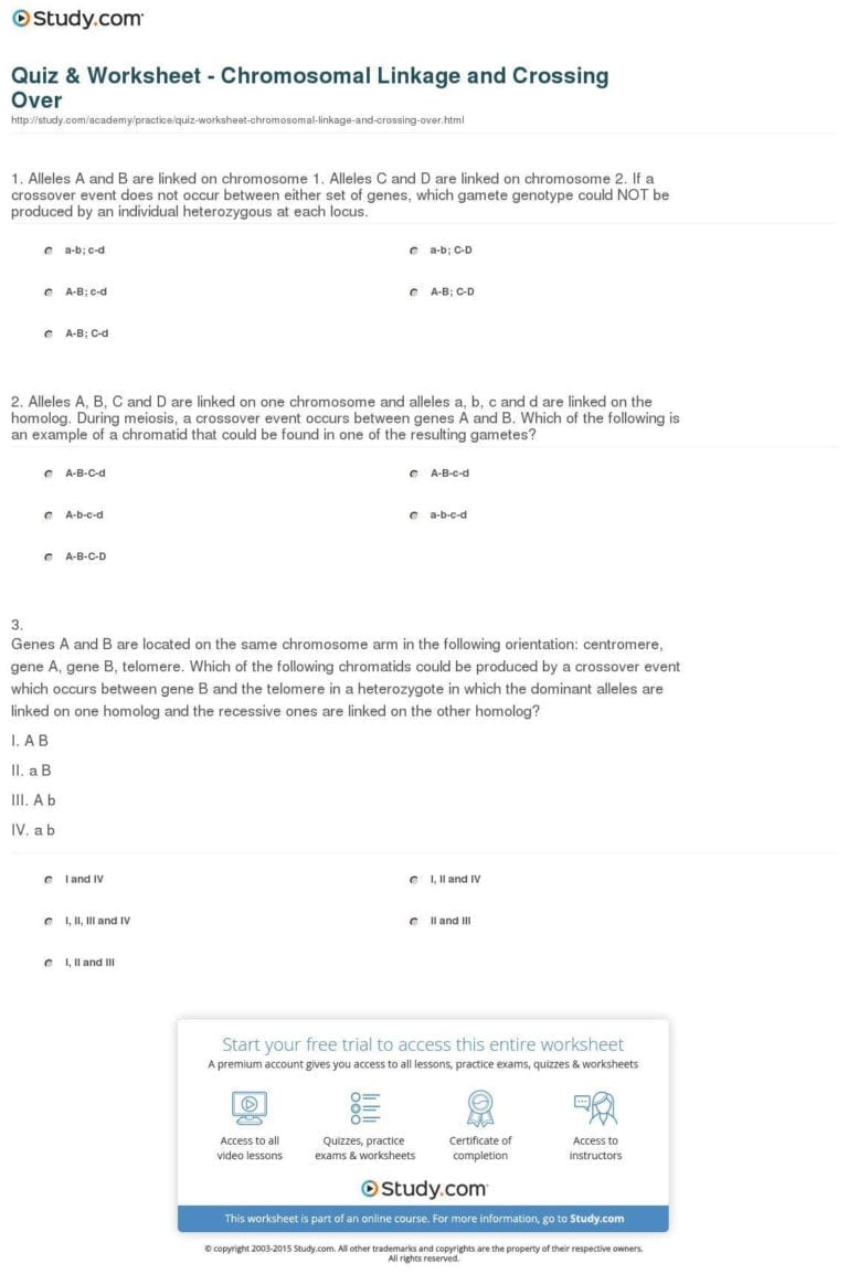Gene And Chromosome Mutation Worksheet Answer Key — db-excel.com