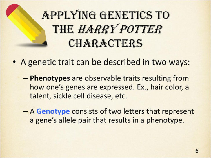 Genetics In Harry Potter's World Lesson 1 Ppt Download — db-excel.com