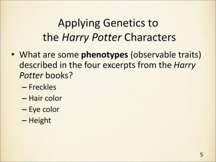 Genetics In Harry Potter's World Lesson 1 Ppt Download — db-excel.com