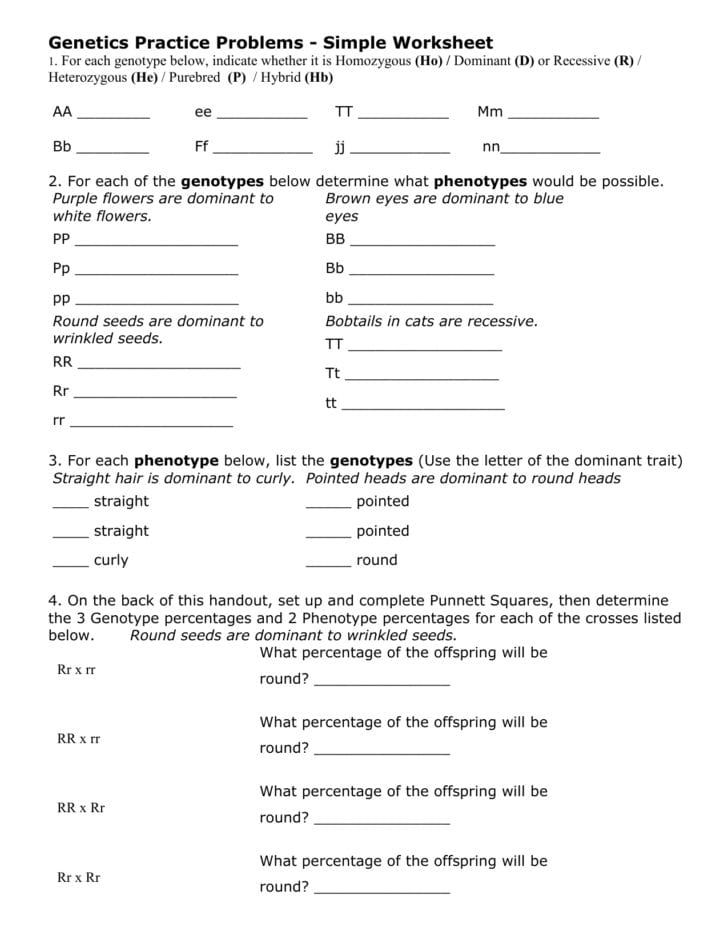 Genetics Practice Problems Simple Worksheet — db-excel.com