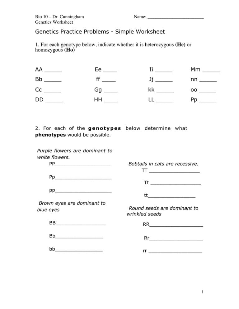 Genetics Practice Problems Simple Worksheet He Ho Aa — db-excel.com