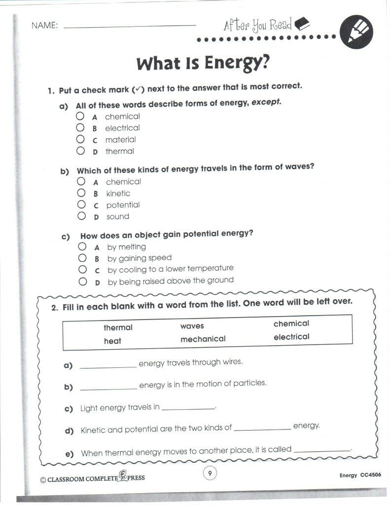 In The Womb National Geographic Worksheet Answer Key Db excel