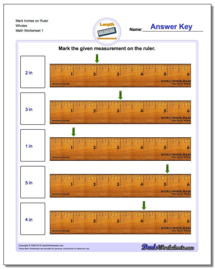 Reading A Tape Measure Worksheet Answers — db-excel.com