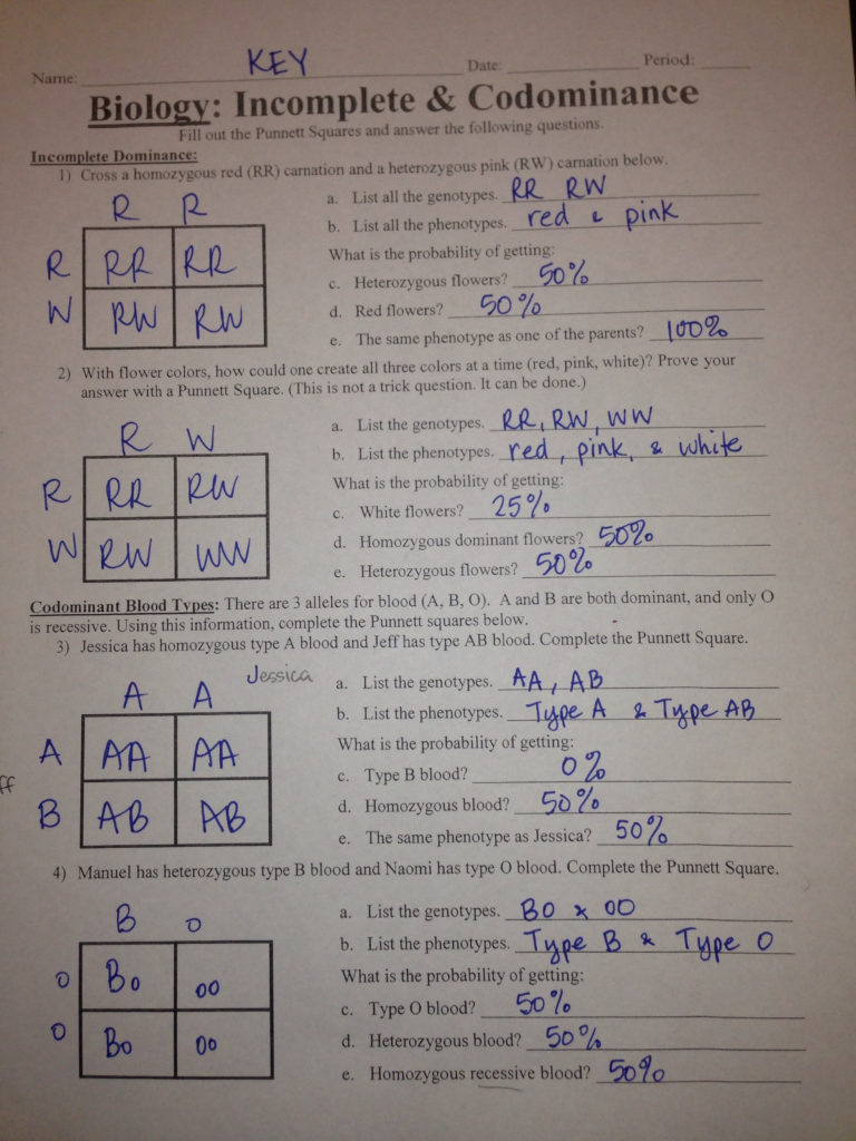Incomplete And Codominance Worksheet As Reading Worksheets — db-excel.com