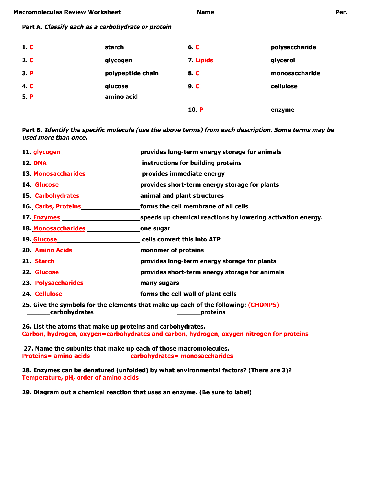 Macromolecules Review Worksheet Answer Key Db excel