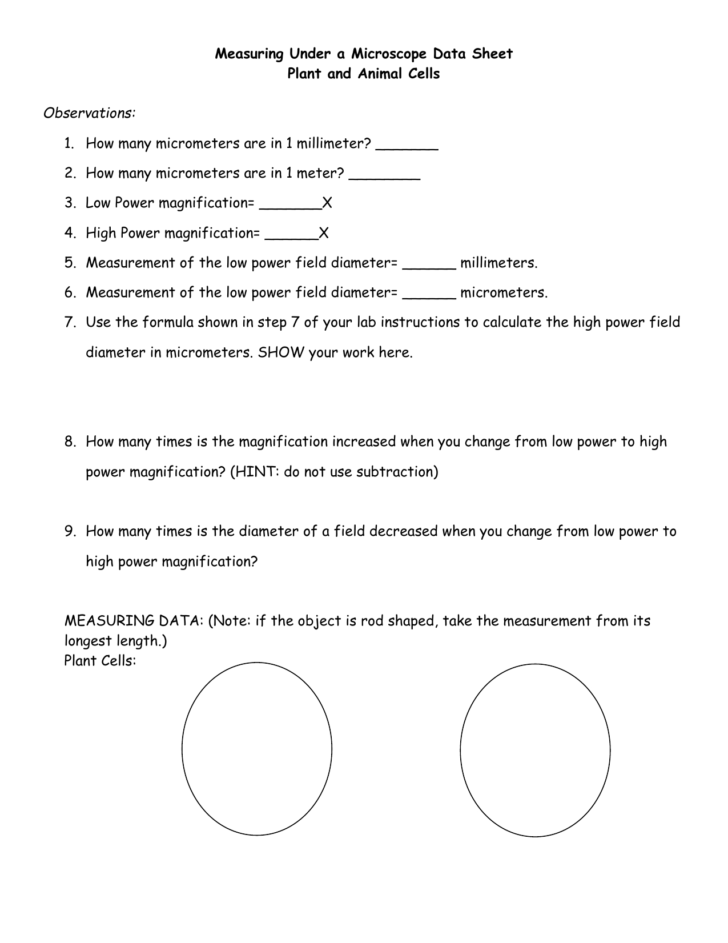 Measuring Under A Microscope Data Sheet — db-excel.com
