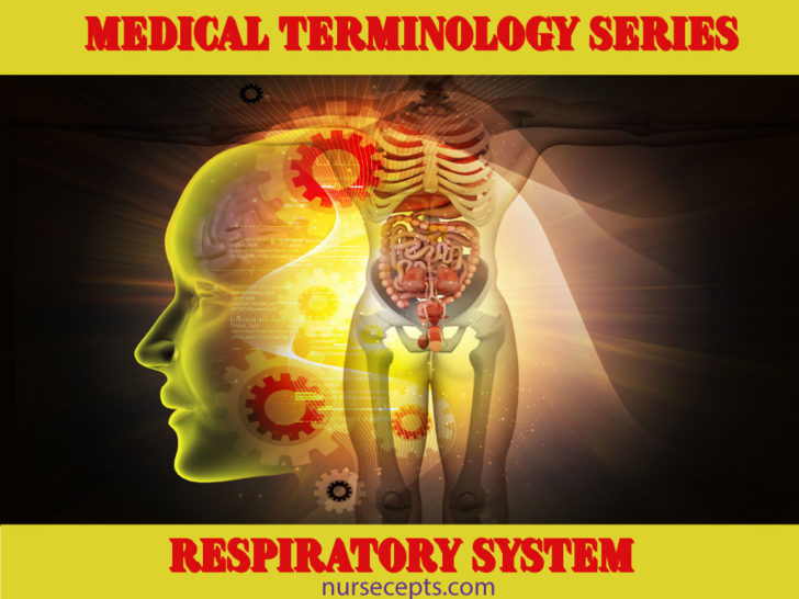 Medical Terminology Of The Respiratory System Nursecepts — db-excel.com