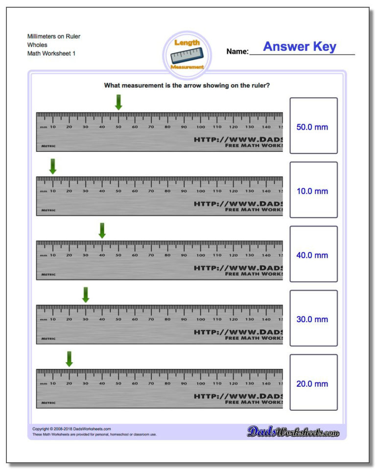 Using A Metric Ruler Worksheet — db-excel.com