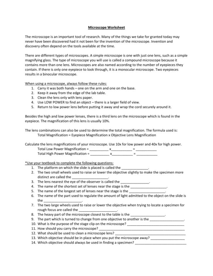 Using A Microscope Worksheet — db-excel.com
