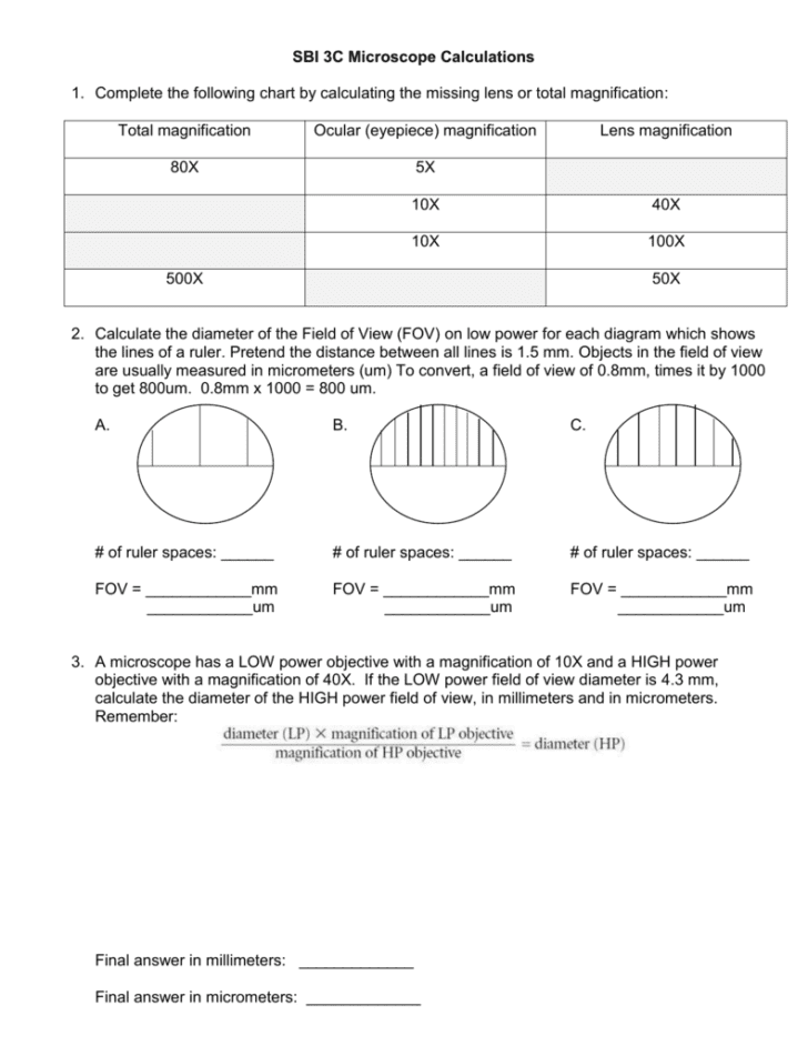 Using A Microscope Worksheet — db-excel.com
