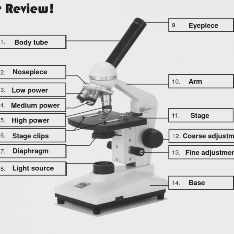 Microscope Wiring Diagram – Wiring Diagram Schematics — db-excel.com