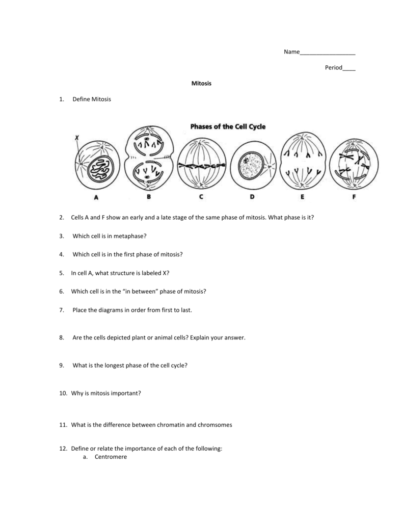 Mitosis Worksheet Db excel