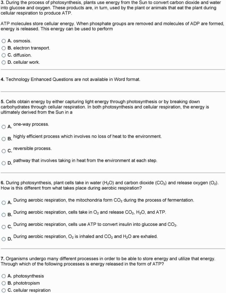 Momentum And Collisions Worksheet Answers Physics Classroom — db-excel.com