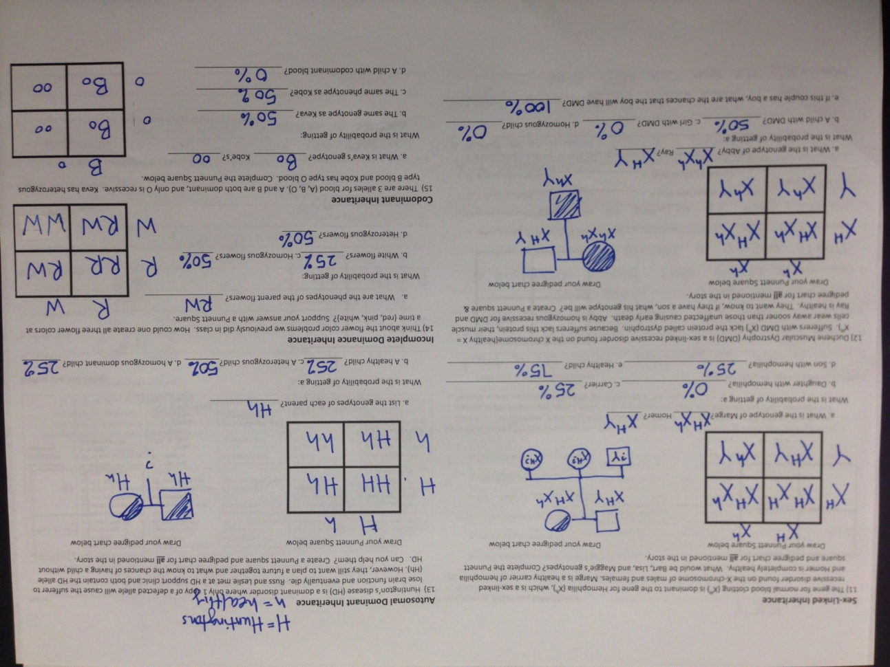 Multiple Alleles Blood Type Worksheet Answers — db-excel.com