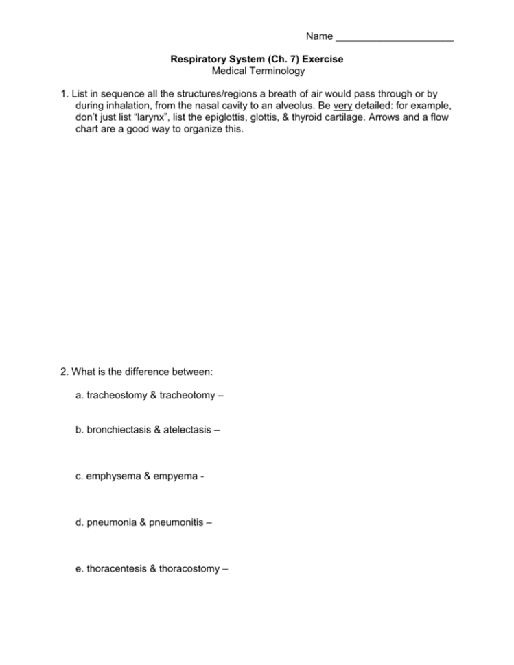 Respiratory System Medical Terminology Worksheet — db-excel.com