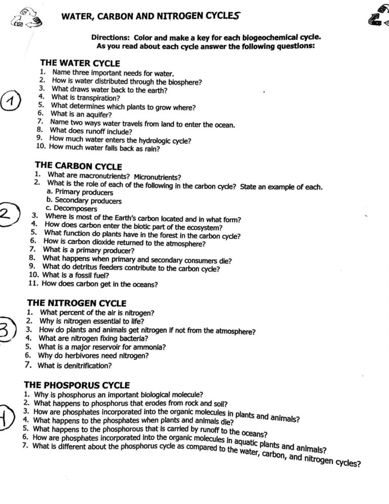 Water Carbon And Nitrogen Cycle Worksheet Color Sheet Answers — db ...
