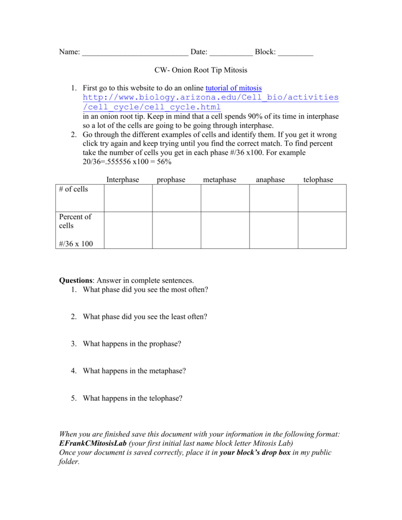 Onion Cell Mitosis Worksheet Answers Db excel Onion Cell Mitosis Worksheet Answers Db excel