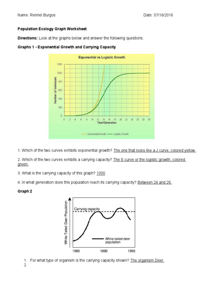 Online Graphs 2018 Identifying Points On A Graph Worksheet — db-excel.com