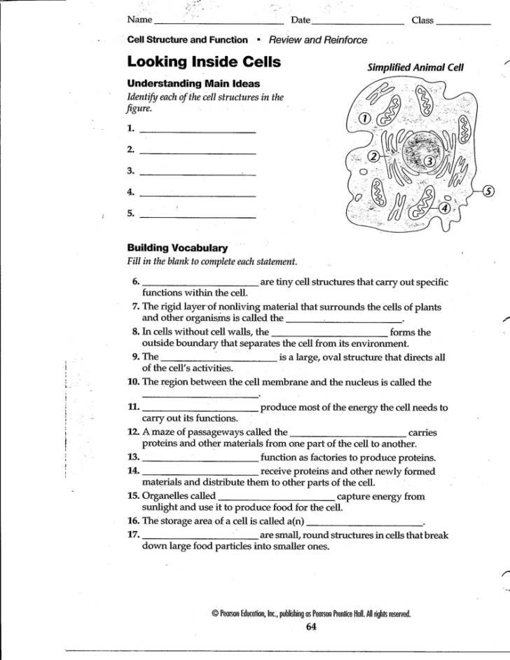 A Tour Inside The Cell Worksheet Answers A Tour Inside The Cell Worksheet Answers