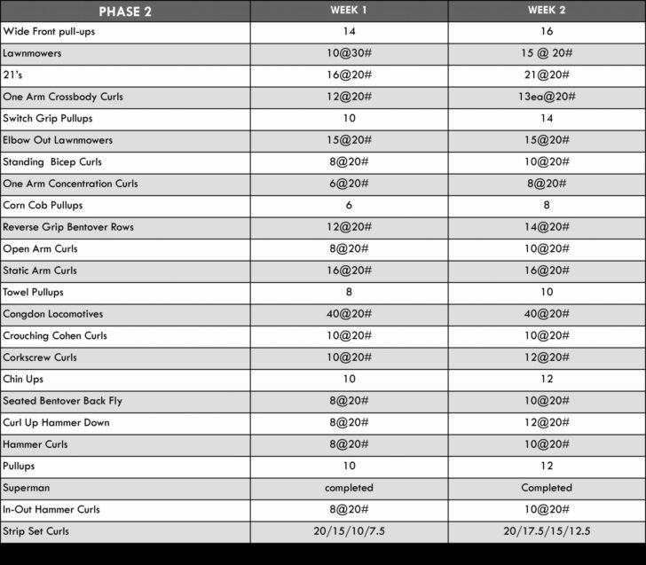P90X Chest And Back Worksheet — db-excel.com