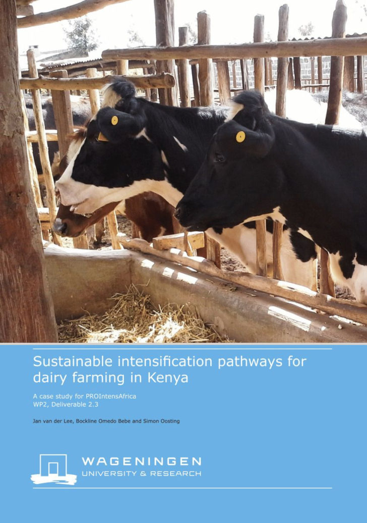 Parts Of A Dairy Cow Worksheet — db-excel.com