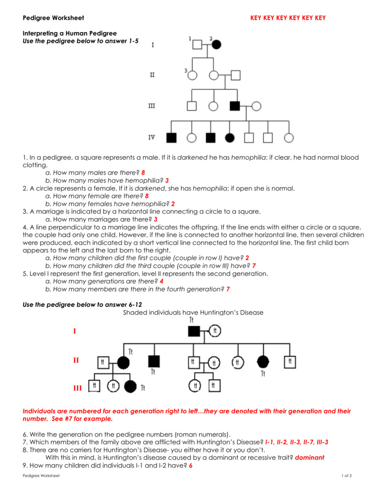 Interpreting A Human Pedigree Worksheet Pdf
