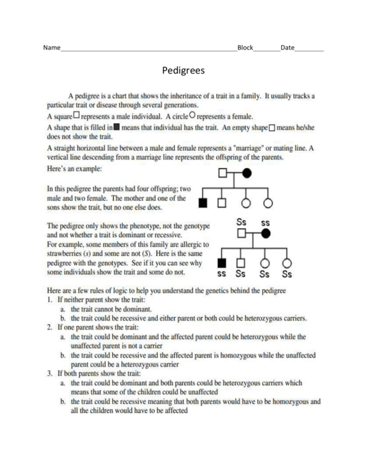 Pedigree Worksheet 3 Hemophilia The Royal Disease Answers — db-excel.com