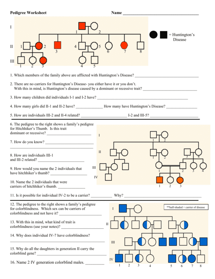 Genetics Pedigree Worksheet Answer Key — db-excel.com