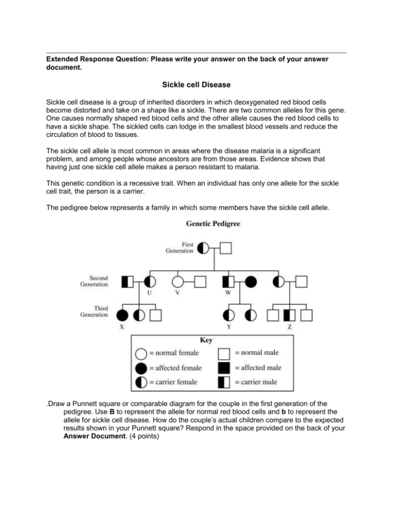 Sickle Cell Anemia Pedigree Worksheet — db-excel.com
