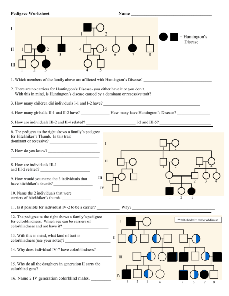 Pedigree Analysis Worksheet Answers — db-excel.com
