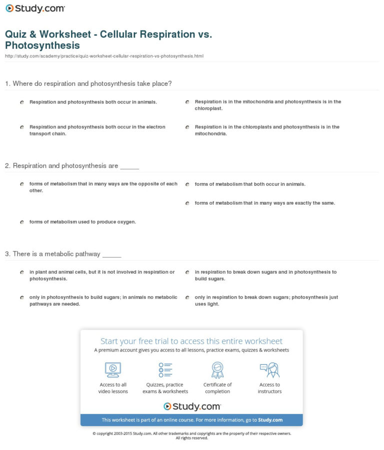 Photosynthesis And Cellular Respiration Worksheet Answer Key Db excel Photosynthesis And Cellular Respiration Worksheet Answer Key Db excel