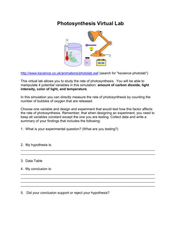 Photosynthesis Virtual Lab Worksheet Answer Key — db-excel.com