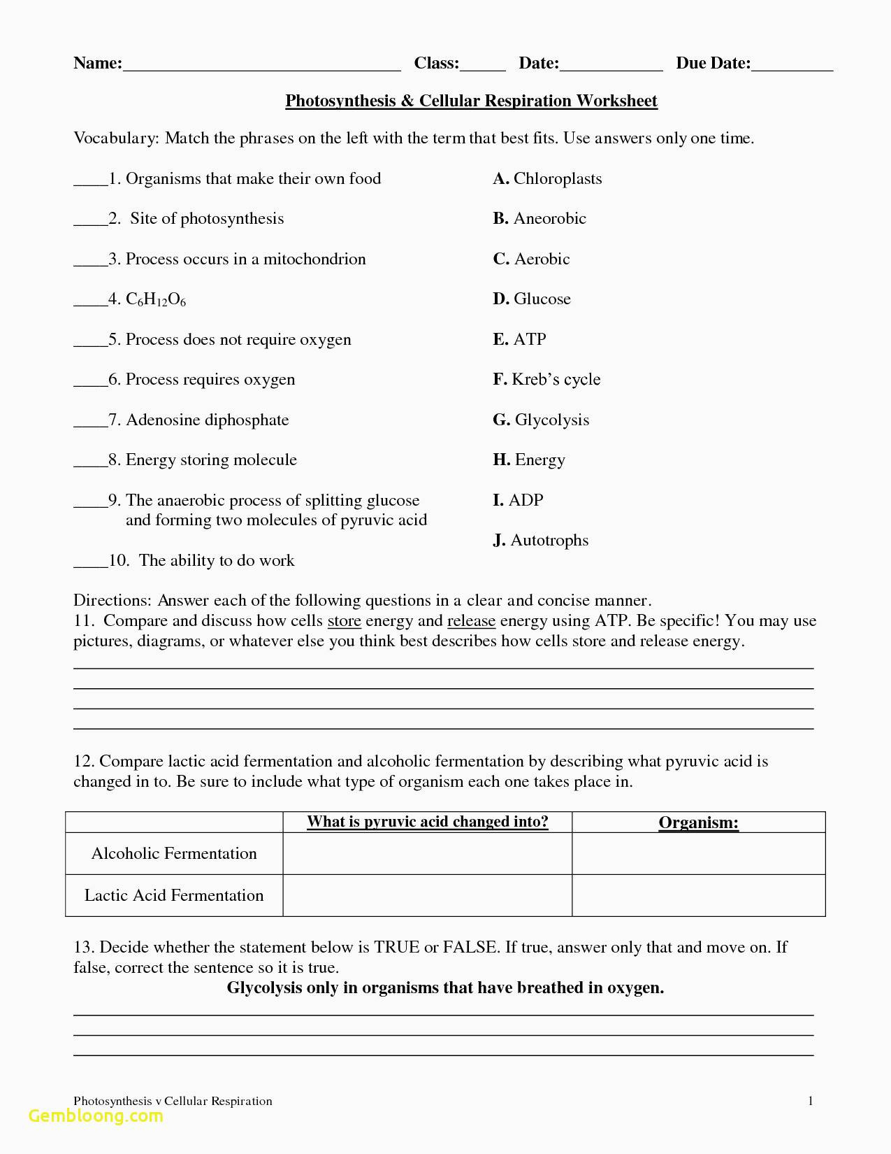 Photosynthesis And Cellular Respiration Worksheet High School Db Photosynthesis And Cellular Respiration Worksheet High School Db