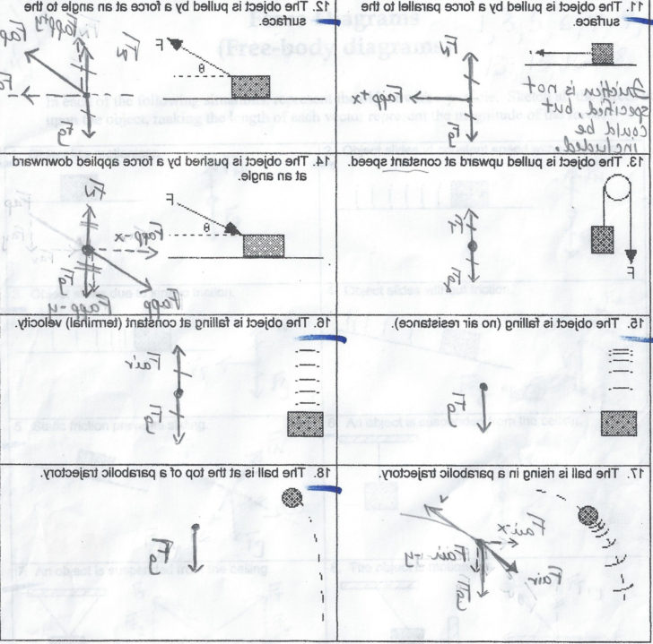 Physics Free Body Diagram Worksheet Geekchicpro — db-excel.com