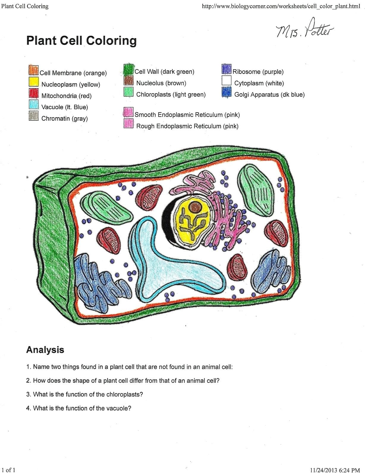 Plant And Animal Cell Coloring Worksheets Key Brotherprintco Db