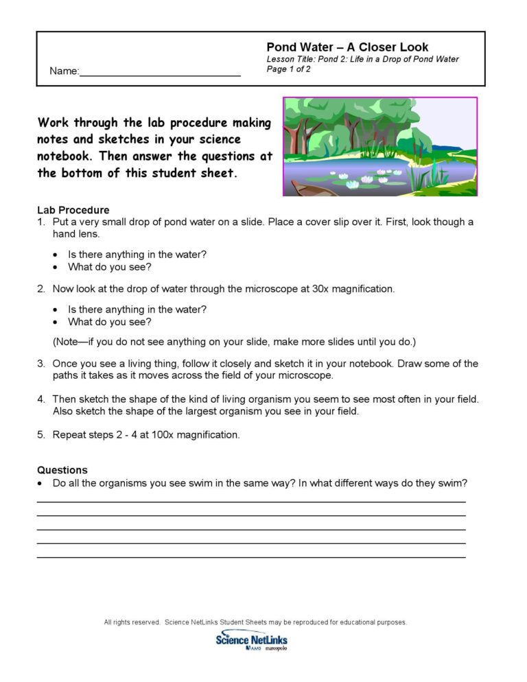Pond Ter Microscope Labsteven Fitch — db-excel.com