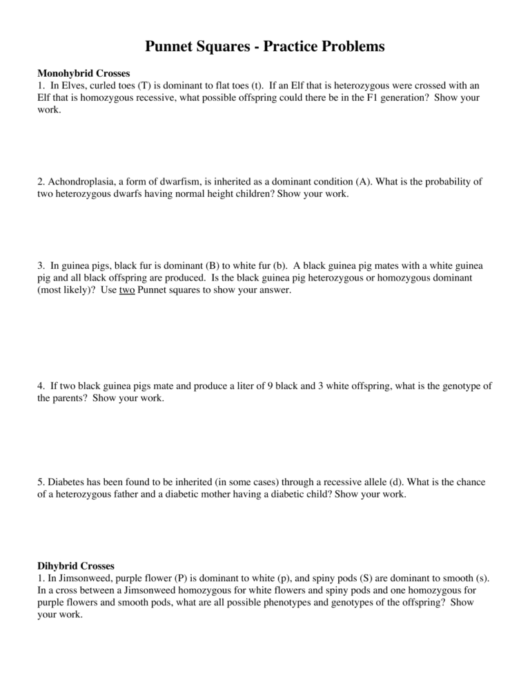 Punnet Squares Practice Problems — db-excel.com